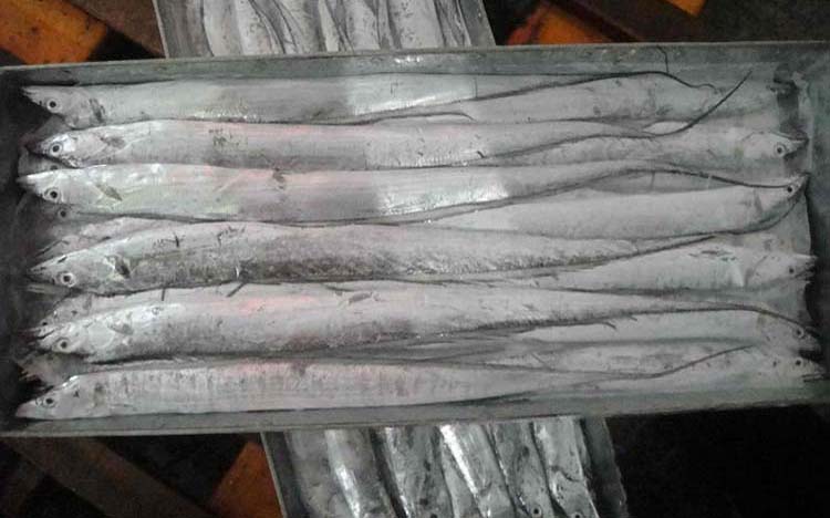 Al Tawakal Frozen foods