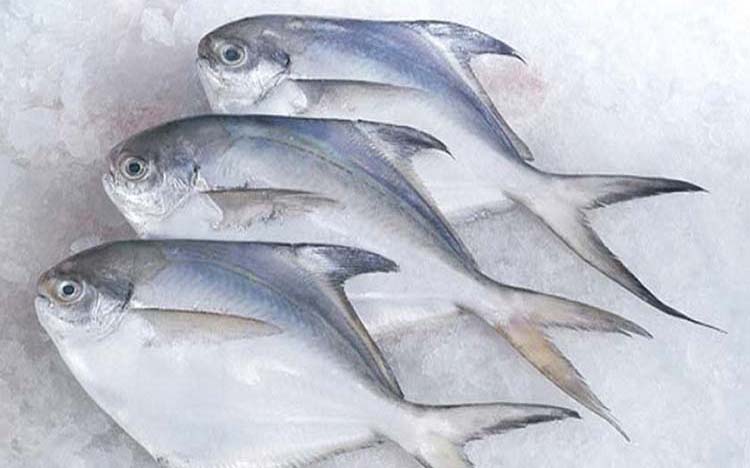 Al Tawakal Frozen foods