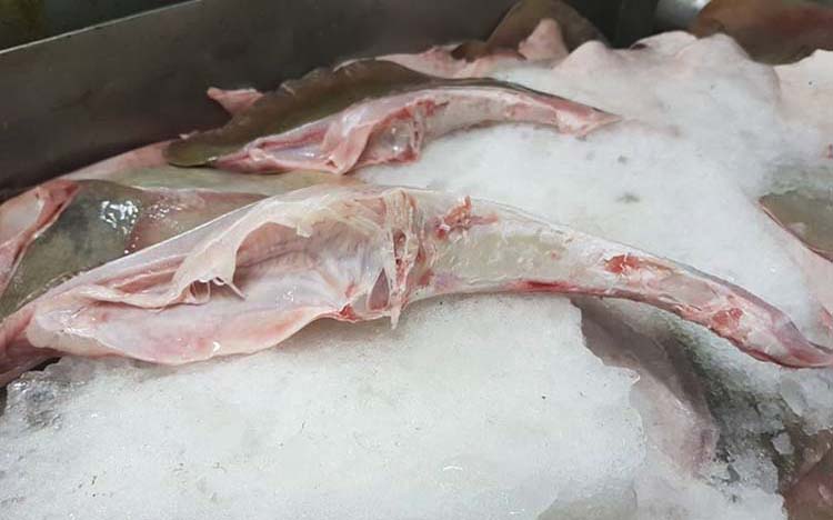 Al Tawakal Frozen foods